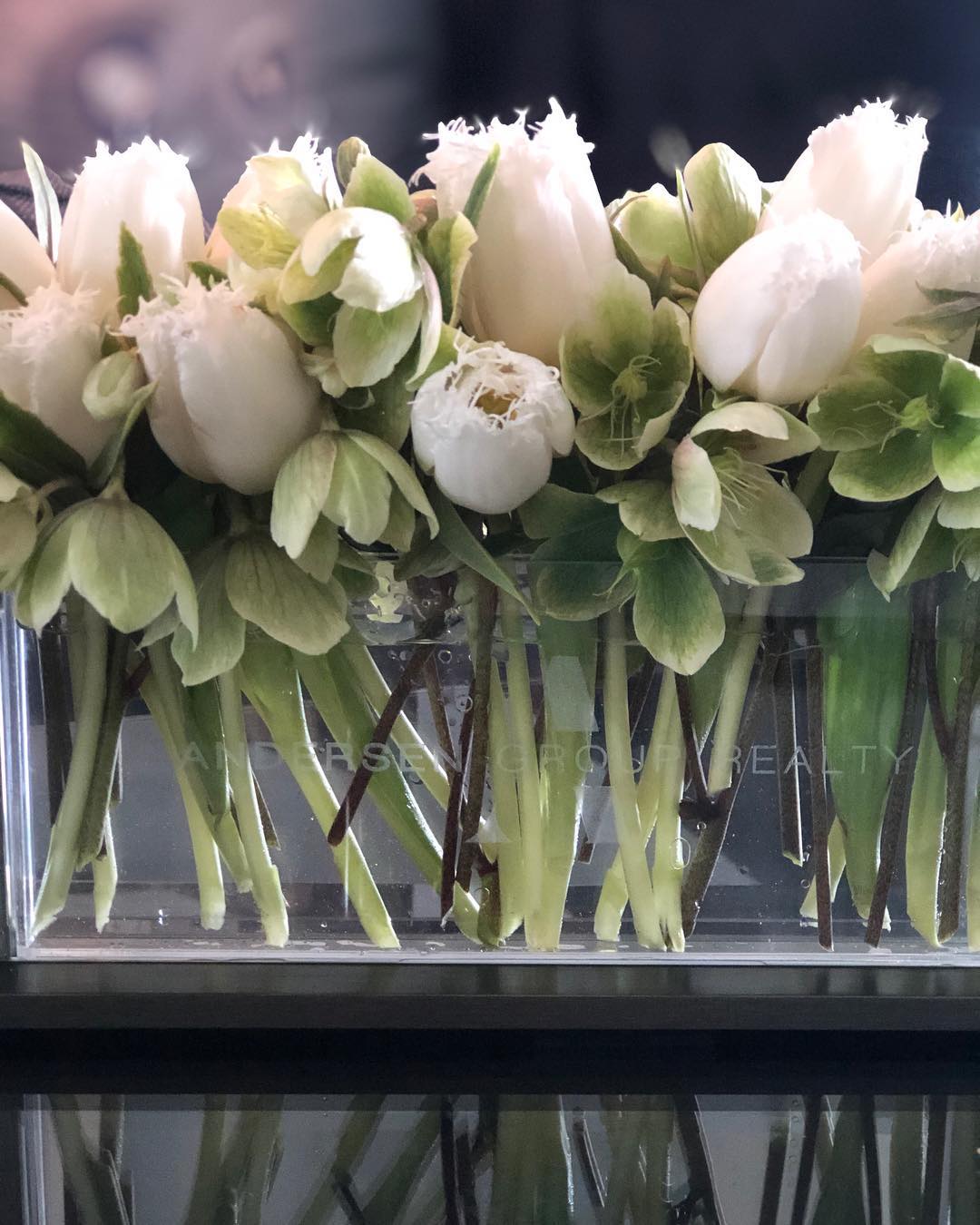 may we introduce...Privet Floral + Ingrid Bruha - ARTEFACT HOME | GARDEN